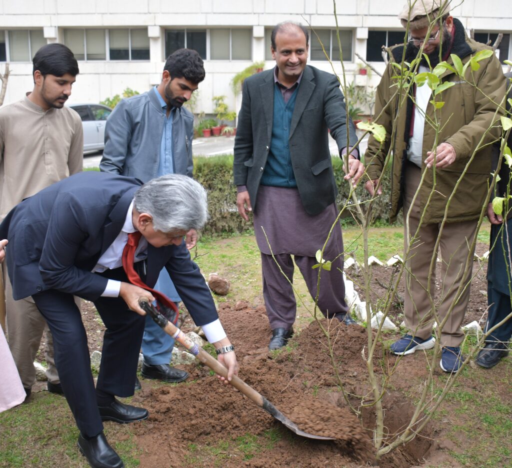 Tree Plantation Drive: Information Minister Plants Sapling At PTV ...