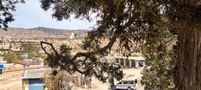 Climate Change Threatens Ziarat’s Ancient Juniper Forests - A Unique ...